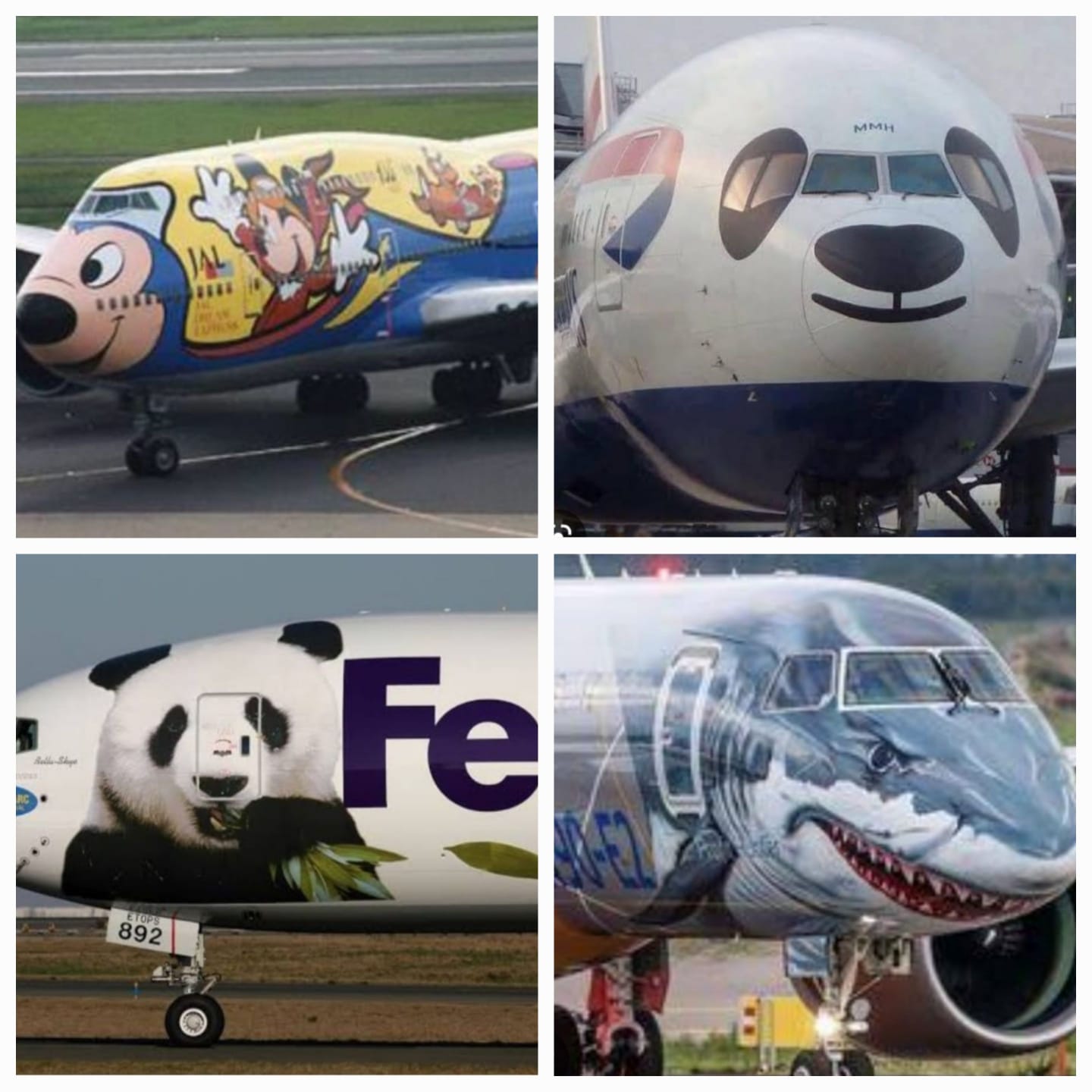 The Evolution of Aircraft Liveries: A Symbol of Airline Identity